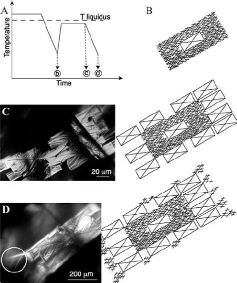 Experimental Tests Of The Model A Schematic Illustration Of The