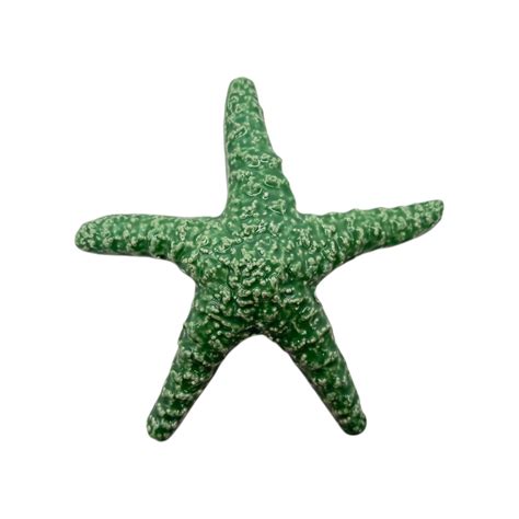 Stella Marina Verde In Ceramica Da Parete 16 Cm Teste Di Moro Siciliane