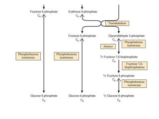 Lec 57 PPT