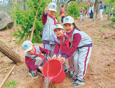 组图丨植树护树添新绿，少年不负好春光