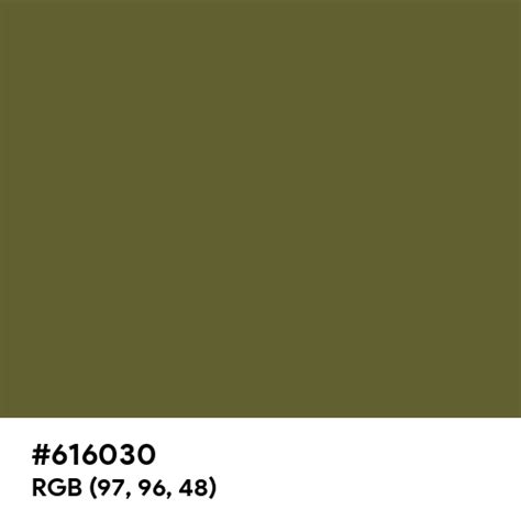 Army Color Hex Code Is 616030