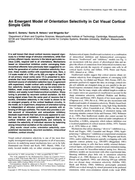 An Emergent Model Of Orientation Selectivity In Cat Visual Cortical