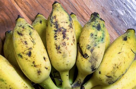 바나나 과일 Pixabay의 무료 사진 Pixabay