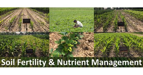 Soil Fertility