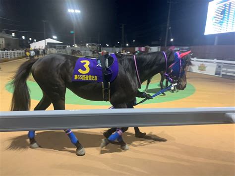 道営記念は最下位でフィニッシュ ガンプラと地方競馬の馬主を楽しむブログ