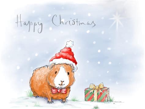 TheGoodGuinea Guinea Pig Christmas Cards Snow Bertie Pack Of 5