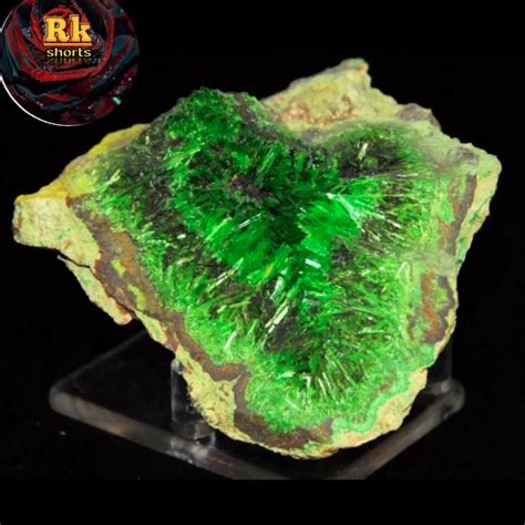 Uranium Object Detection Dataset And Pre Trained Model By Ece4300