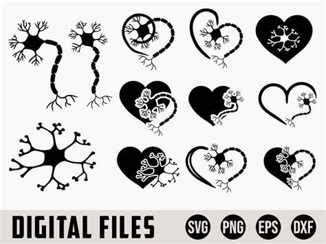 Neurons Svg Dopamine Svg Brain Clipart Neuro Nerves Biology Svg