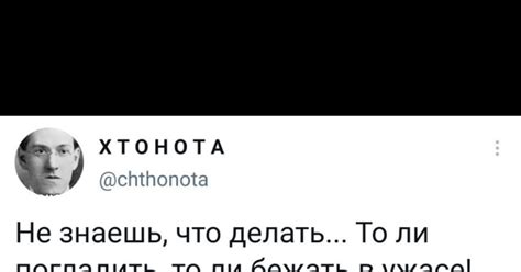 Пушистый лицехват Пикабу