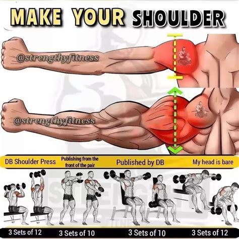 Try This Workout Program For Your Shoulders Artofit