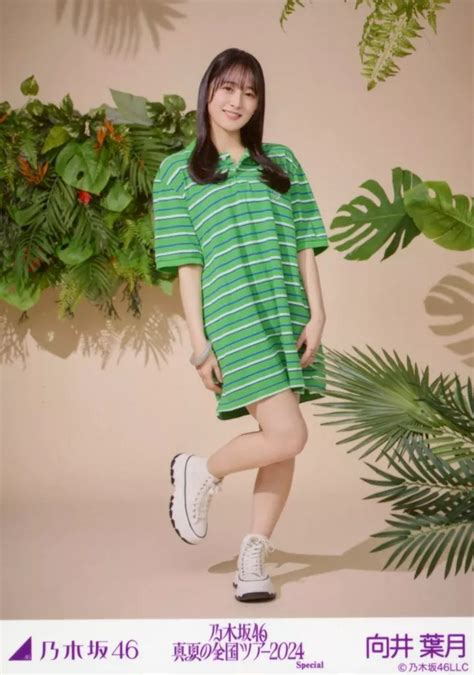 駿河屋 向井葉月全身乃木坂46 真夏の全国ツアー2024 Special 会場限定ランダム生写真（女性生写真）