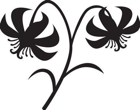 Lily Vector Images Over 39 000