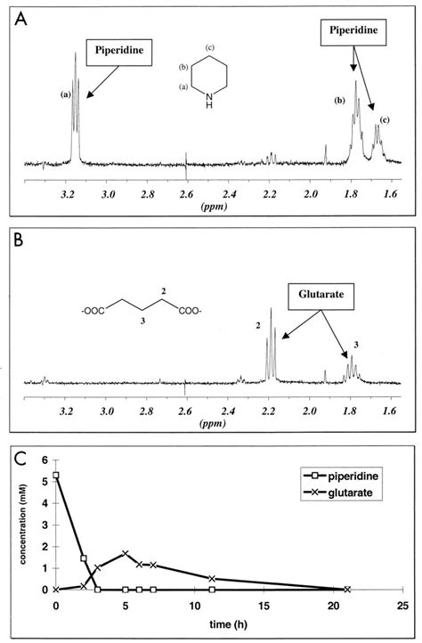 Piperidine Degradation By M Aurum Mo1 Resting Cells 5 G [wet Weight] Download Scientific