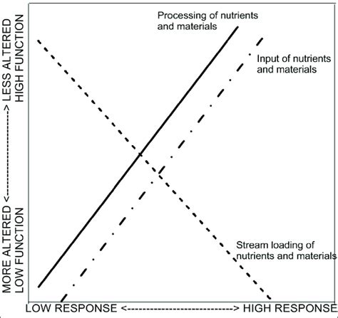 1 1 conceptual model of the relationship between material inputs