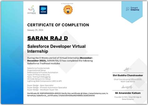 Saran Raj D On Linkedin Salesforcedeveloper Virtualinternship