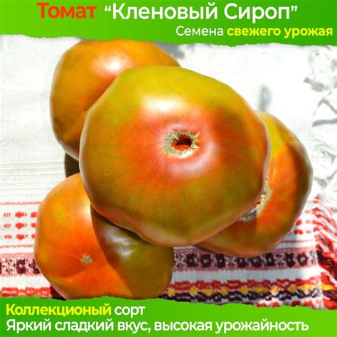 Томаты Elya Garden томат Кленовый Сироп - коллекционный сорт - купить ...