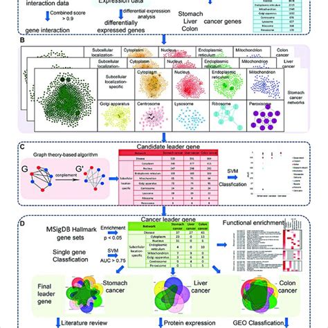 Workflow Of Our Methodology A Data Sources B Disease Network