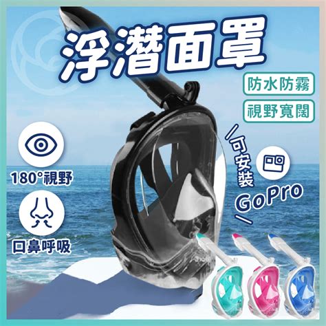浮潛面罩 面罩 蛙鏡 潛水 呼吸管 潛水鏡 衝浪 浮潛 潛水面鏡 潛水面罩 自潛面鏡 自由潛水面鏡 潛水蛙鏡 面罩兒童 蝦皮購物