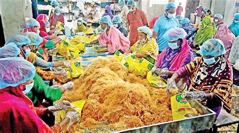 ‘laccha Semai Worth Tk 200 Cr To Be Sold This Year Bangladesh Post