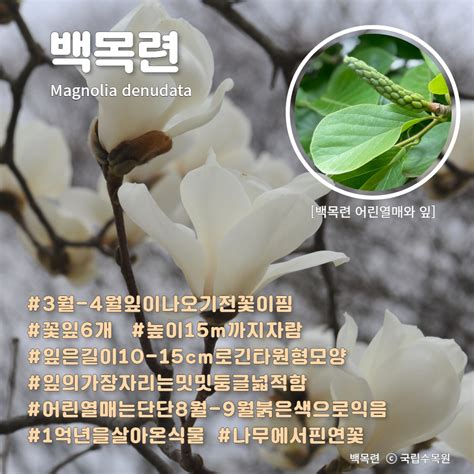 생명의숲