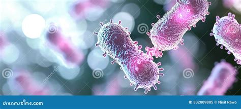 Microscopic Image Of Bacterial Cells Dividing With Clear View Of