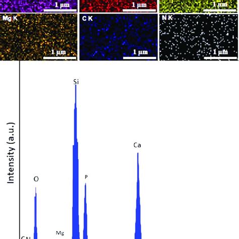 Elemental Mapping Distribution And Edx Spectra Of 30mghapch Composite