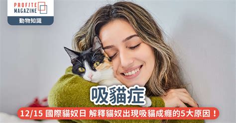 Profite Magazine 吸貓症｜1215 國際貓奴日 解釋貓奴出現吸貓成癮的5大原因！