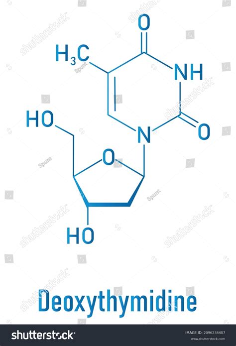 Thymine Nucleoside