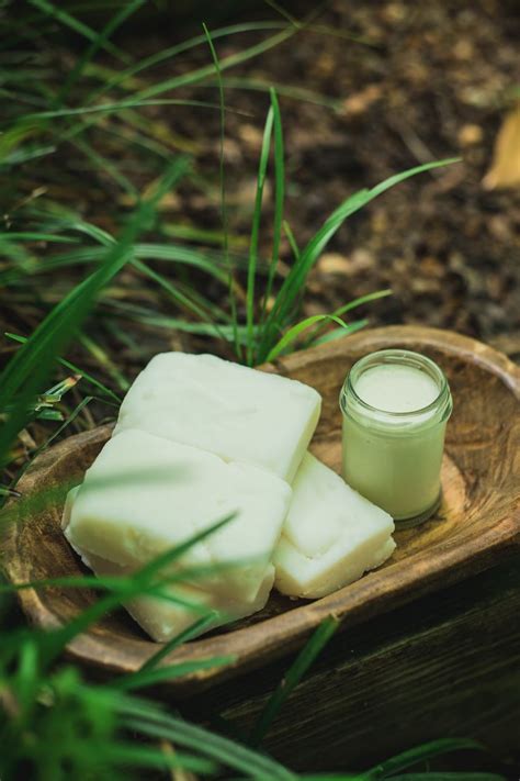 Making Beef Tallow Wet Render Method For Luxurious Skincare Beef