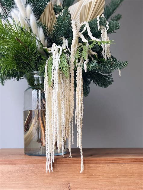 Стабилизированный амарант в букете Macrame Plant Hanger Plant Hanger