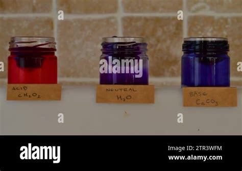 Red Cabbage Ph Indicator Solution Stock Videos And Footage Hd And 4k