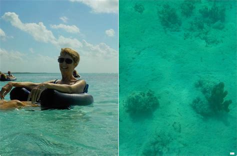 Reef Snorkeling And Sandbar Getaway Port Excursion Coco Cay Caravan