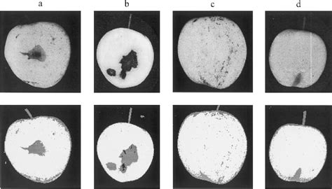 Figure 1 From Defects Segmentation On Golden Delicious Apples By Using Colour Machine Vision