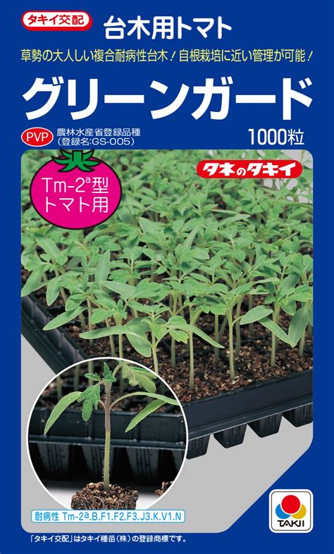 【トマト種子】グリーンガード1000粒 株式会社pseco（ピーエスエコ）