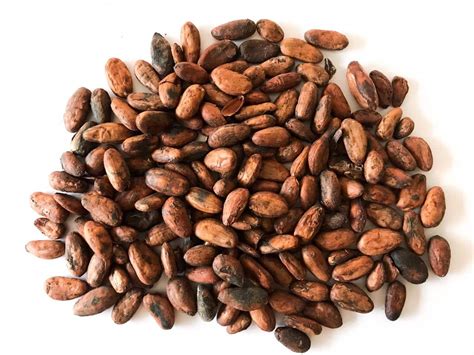 Nibs De Cacau 100g Bahia Malte