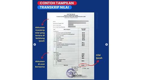 Cara Cek Letak Nomor Ijazah SMA SMK Dan S1 Untuk Daftar CPNS 2024