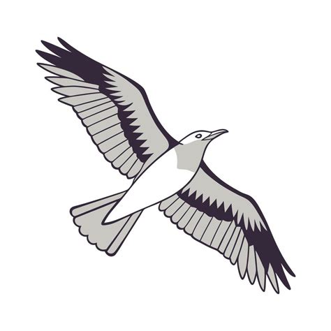 Beautiful Fly Design On White 59078945 Vector Art At Vecteezy