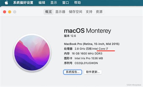 Mac 安装mysql80mac Mysql80安装教程 Csdn博客