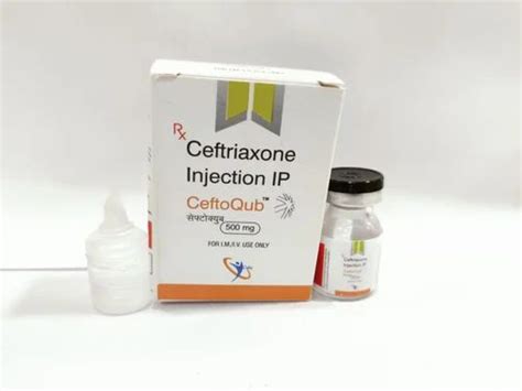 Ceftoqub 500 Ceftriaxone 500mg Injection At ₹ 51 Vial In Sas Nagar Id