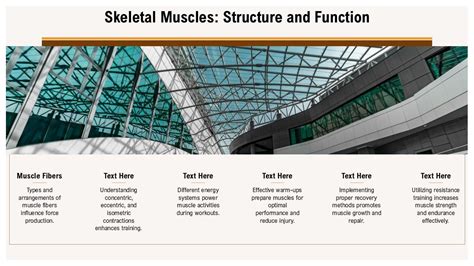 Skeletal Muscles Structure And Function Muscles Interactive Ppt Presentation Acp Ppt Example