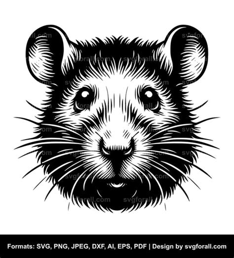 Rat Face Svg