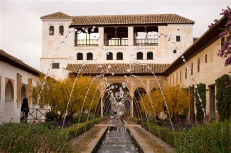 Premium Photo Full Length Of Woman Standing On Grass