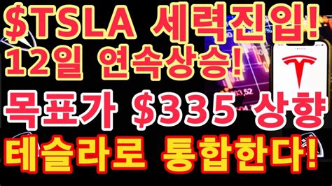 Tsla 세력진입 테슬라 포지션 업그레이드 목표가 335 상향 Tesla 주가 12일 연속상승 테슬라로 통합
