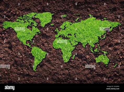 Grass Map