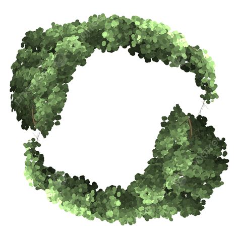 Green Ring Png Picture Tree Ring Green Plant Greenery Tree Ring Png
