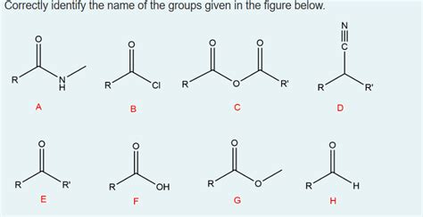 Solved Correctly Identify The Name Of The Groups Given In Chegg