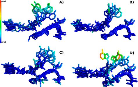 3d Representation Of The Average Position Of The Mutated Loop Bottom