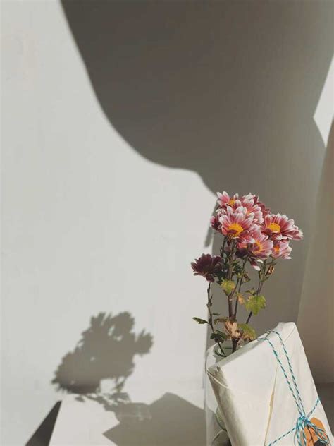 감성글귀 너는 그 어떤 세상의 꽃보다도 예쁜 꽃이다