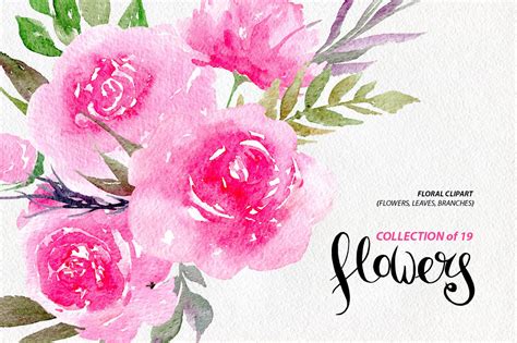 Watercolor Pink Peony Flowers 19 Png By WatercolorFlowers TheHungryJPEG