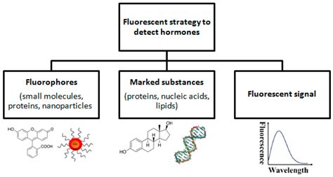 A Fluorescent Biosensors For Detection Vital Body Fluids Agents
